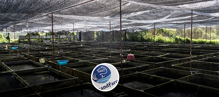Grand Farm Thương Hiệu Lươn Sạch Chuẩn Việt Gap - FarmGo